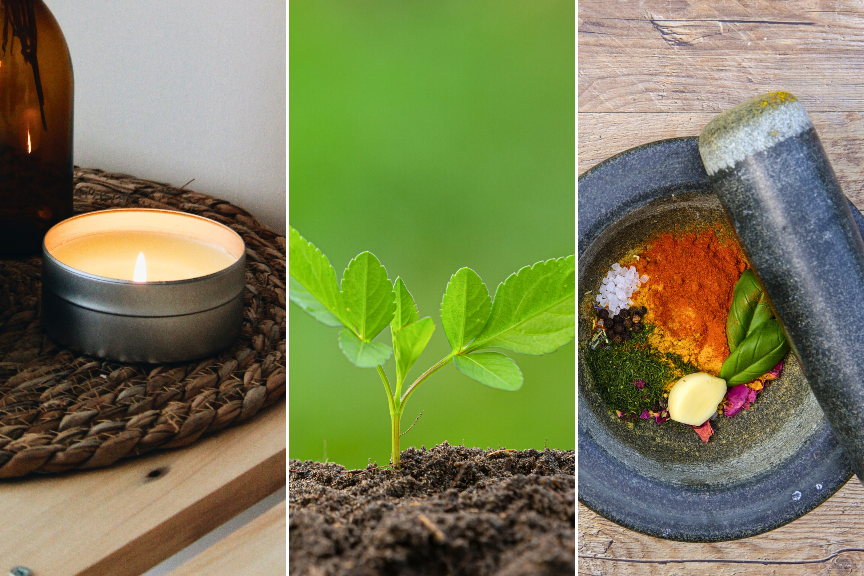 Recycling Used Coffee Capsules and Coffee Grounds - Recycle Coffee ...